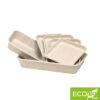 Sugarcane Pulp Tray – Eco-go pack